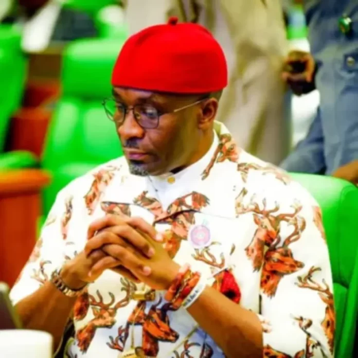 Deputy Speaker Optimistic About Political Solution For Nnamdi Kalu ...