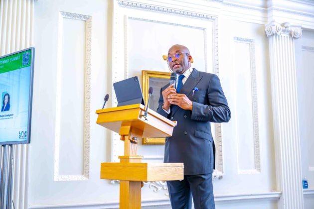 Deputy Speaker Seeks Global Investment in Nigeria’s Green Economy ...