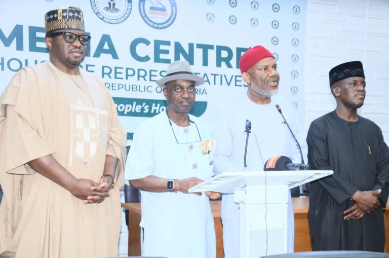 10th House Minority Caucus Names Victor Ogene Spokesperson - Voice of ...