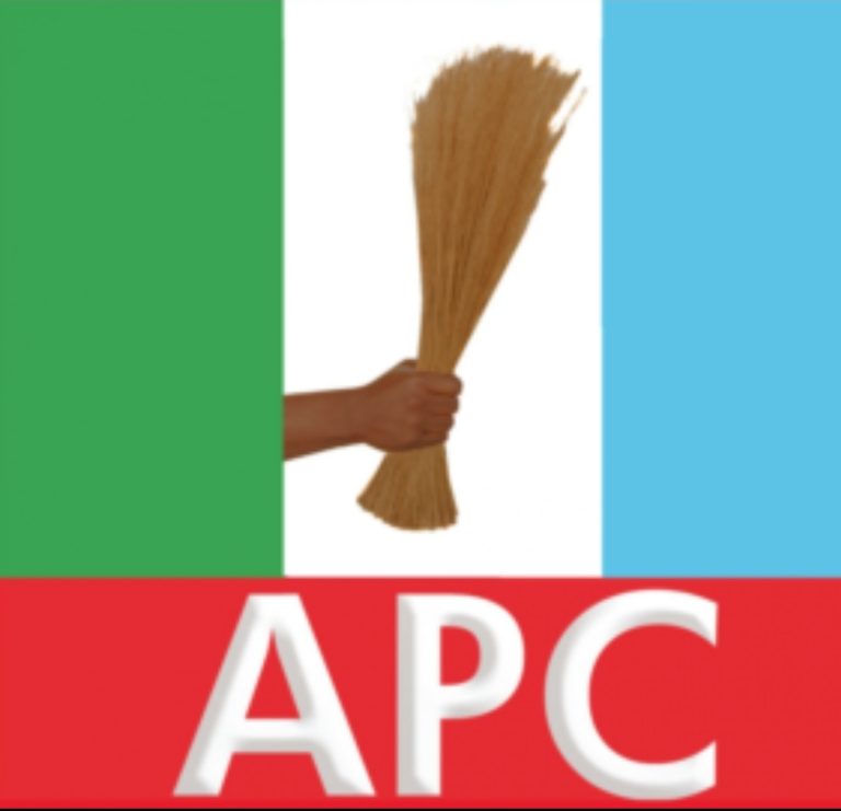 APC Pledges Greater Inclusion for Women in Governance - Voice of Nigeria